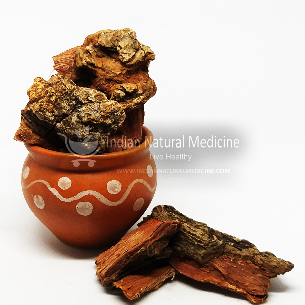 Asokam / Ashoka bark - Indian Natural Medicine