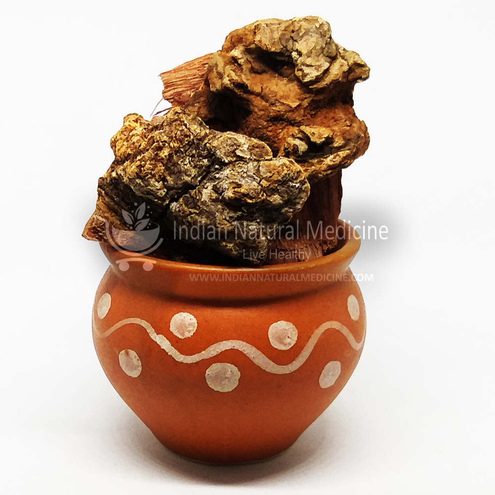 Asokam / Ashoka bark - Indian Natural Medicine