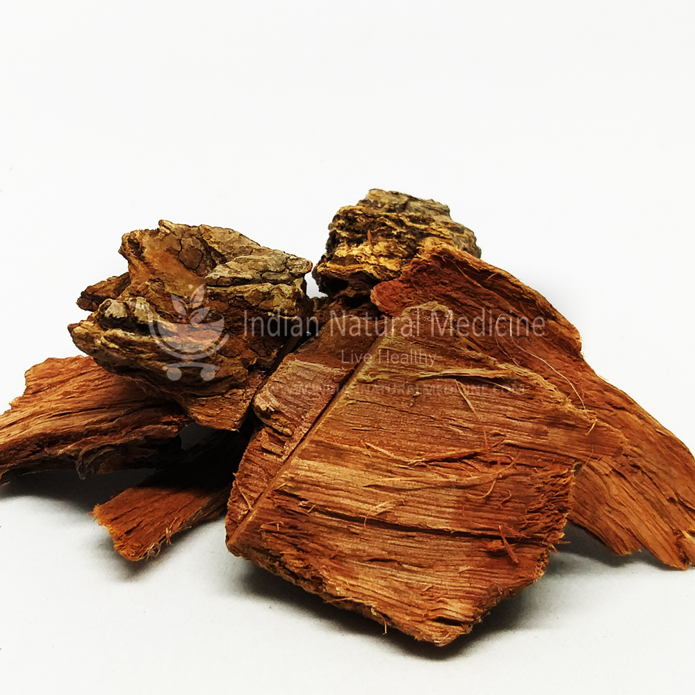 Asokam / Ashoka bark - Indian Natural Medicine