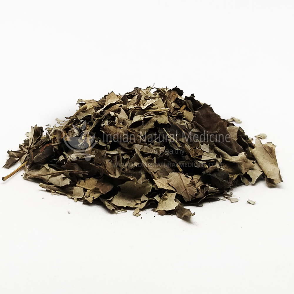 Nochi Ilai / Chinese Chastetree Dried Leaves - Indian Natural Medicine