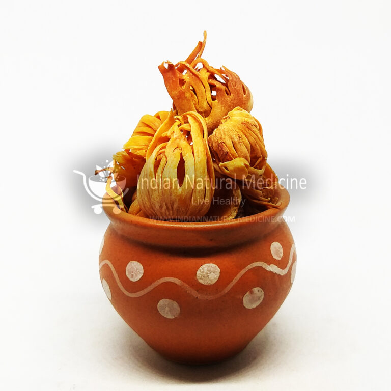 Jathipathri - Indian Natural Medicine