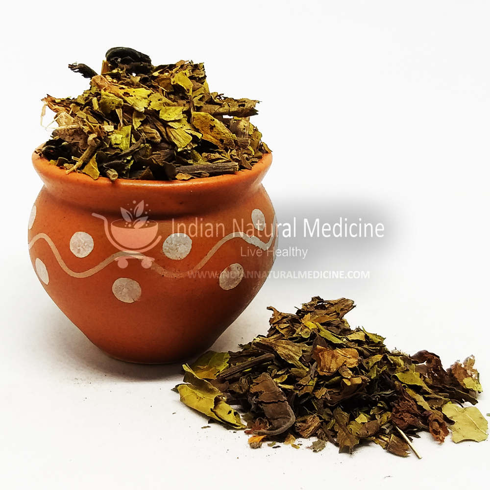 Aada Thodai Ilai / Malabar Nut Dried Leaves - Indian Natural Medicine